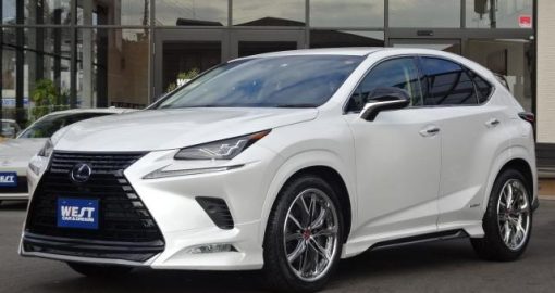 Cars Importer & Retailer - NB CARS